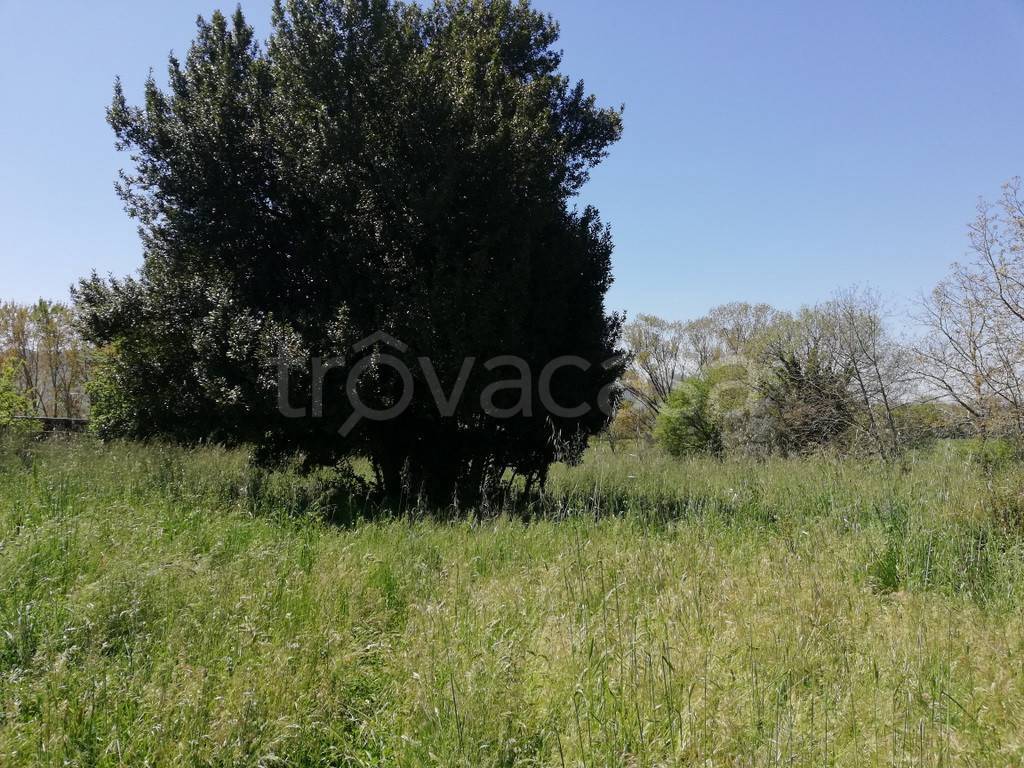 Casale in vendita a Caiazzo strada Provinciale p. Di Monte Verna Castel Campagnano