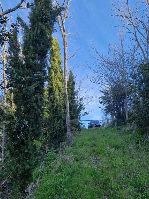 Intero Stabile in in vendita da privato a Montefiore dell'Aso contrada Aso, 1