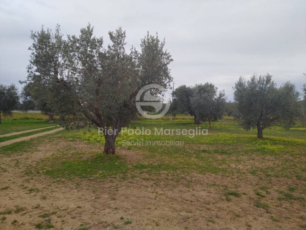 Masseria in vendita a Carovigno