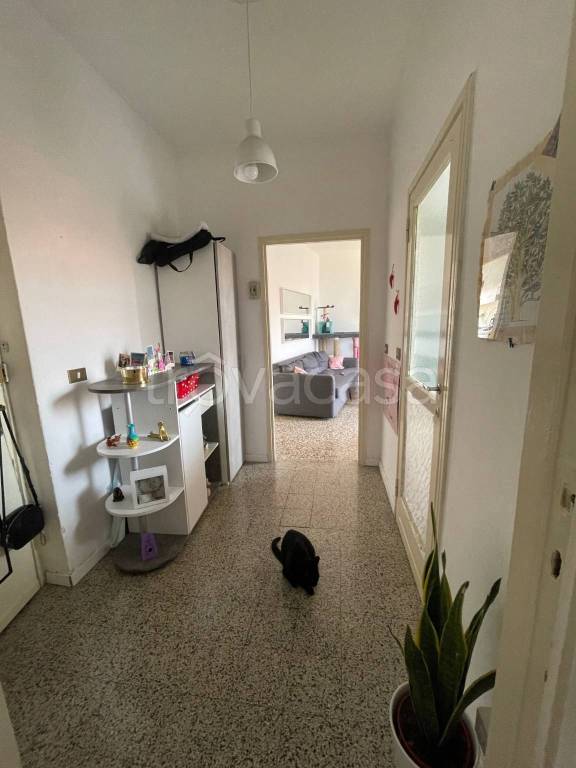 Appartamento in in vendita da privato a Busto Arsizio via Carlo Collodi, 10