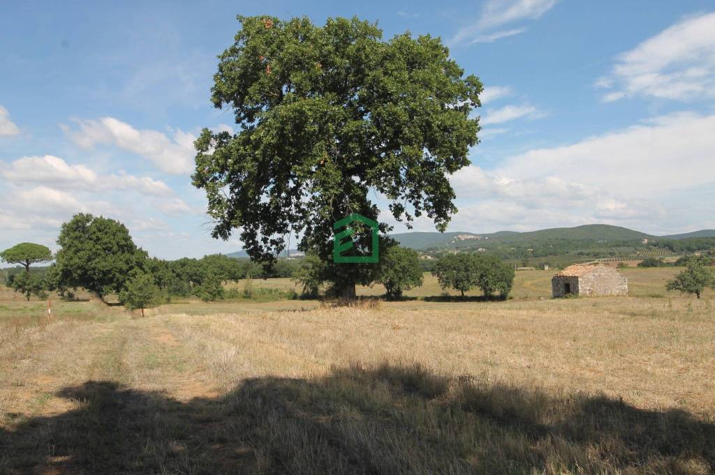 Rustico in vendita a Giove strada delle Selve