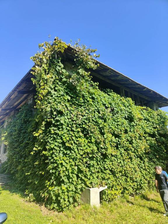 Rustico in vendita a Fiavè
