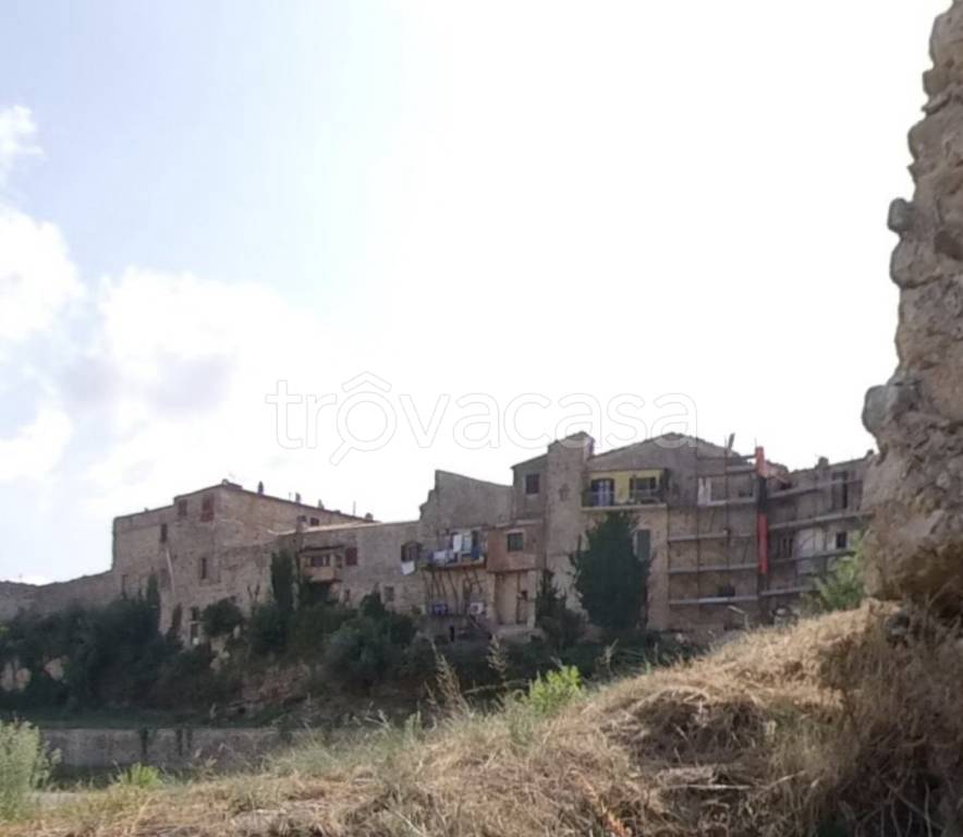 Intero Stabile all'asta a Magliano in Toscana localita' palazzaccio - pereta, snc